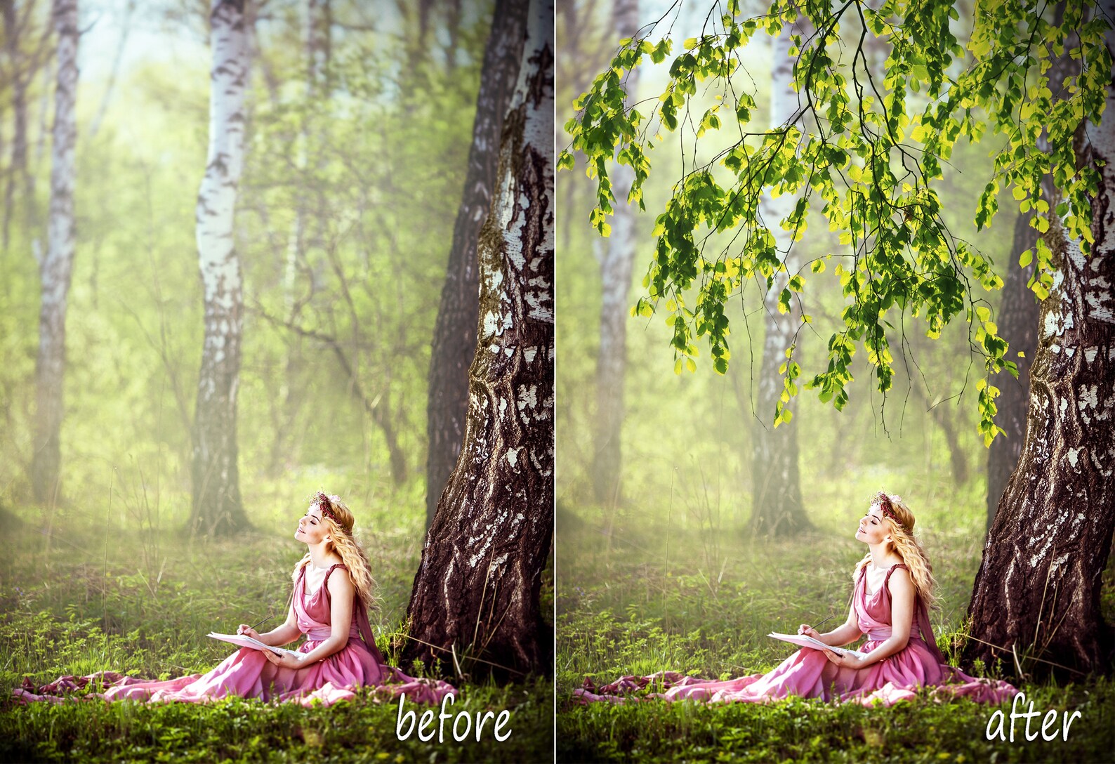 75 Green Branches & Grass Overlays, Green Branches Overlays, Maple ...