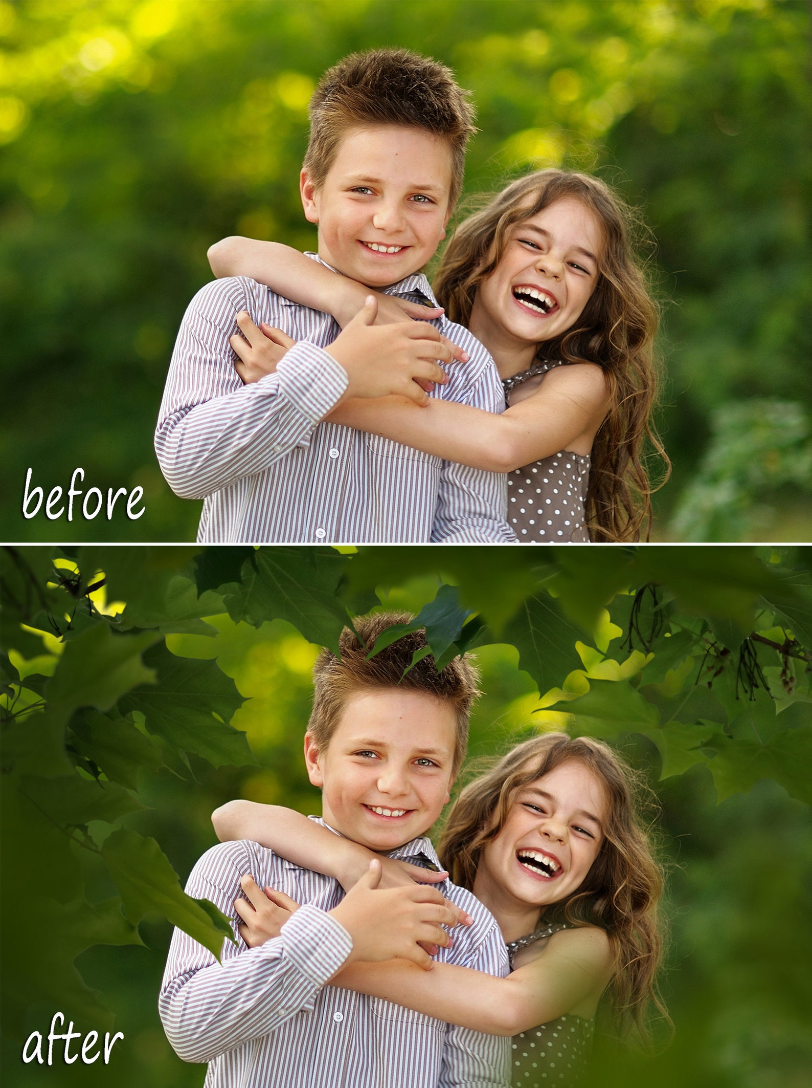 75 Green Branches & Grass Overlays, Green Branches Overlays, Maple ...