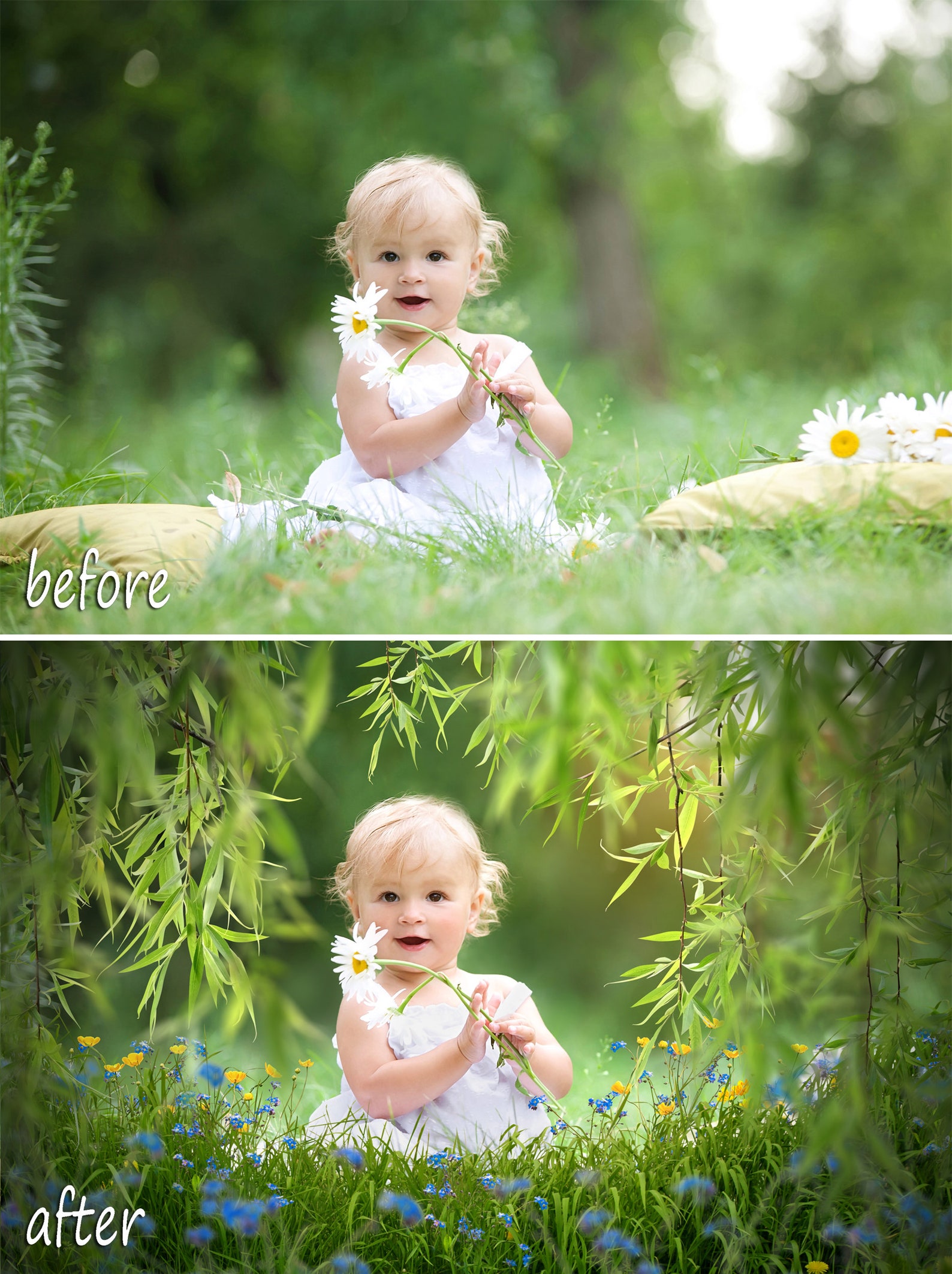 75 Green Branches & Grass Overlays, Green Branches Overlays, Maple ...