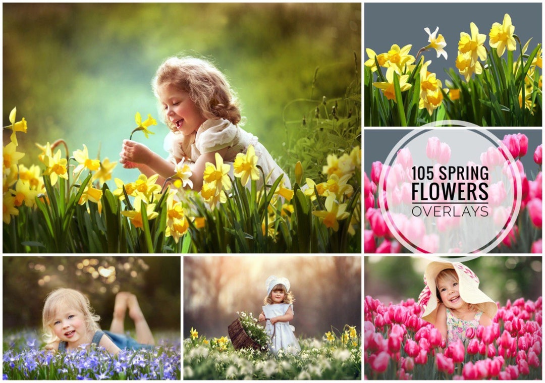 105 Spring Flowers Overlays, Wildflowers Overlays, Photoshop Overlays ...