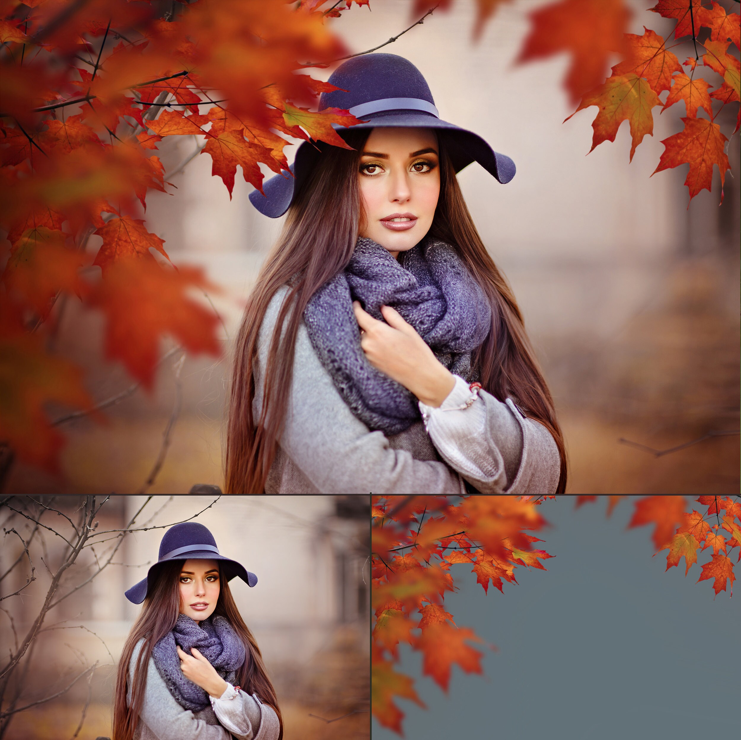 95 Autumn Tree Branch Overlays, Autumn Tree Branches PNG for ...
