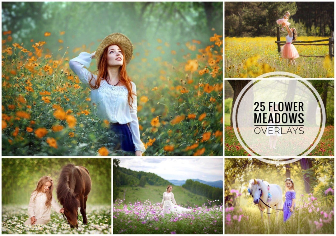 25 Flower Meadows Overlays, wildflowers overlays, flowering field photo ...