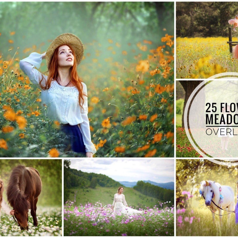 Summer Meadow - Etsy