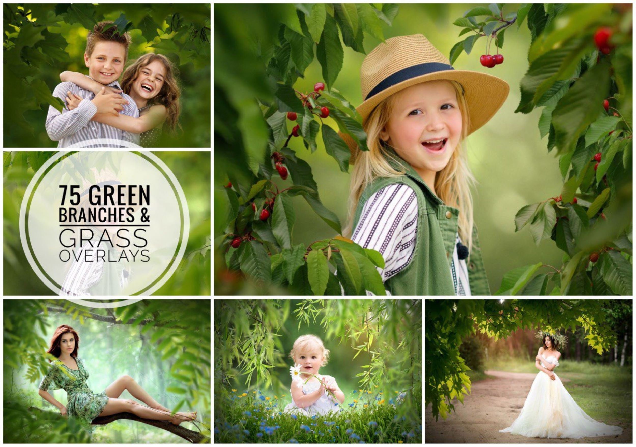 75 Green Branches & Grass Overlays, Green Branches Overlays, Maple ...