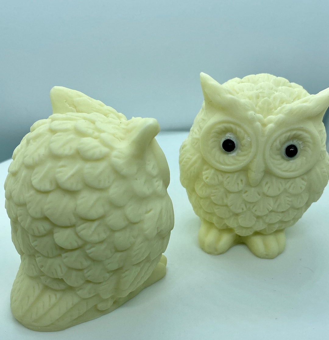Hand Carved Tagua Nut Owl, Ivory Nut, Tagua Nut, Vegetable Ivory, Palm ...