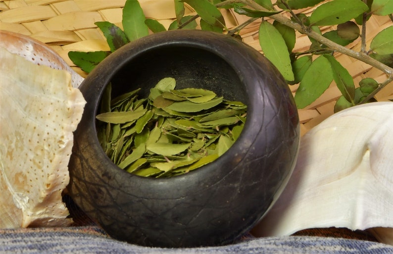 Sun Roasted Yaupon Tea - Etsy