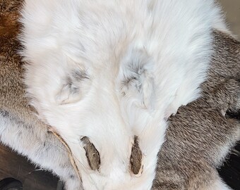 Fox Pelt - Etsy