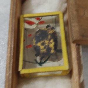 Rare Trinket/trick Box With Turtle in Box - Etsy