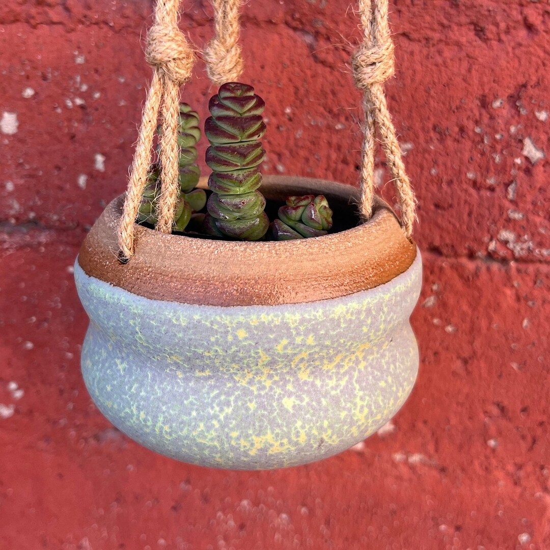 Tiny Mottled Green Hanging Planter, Succulent Cacti Planter, Small ...