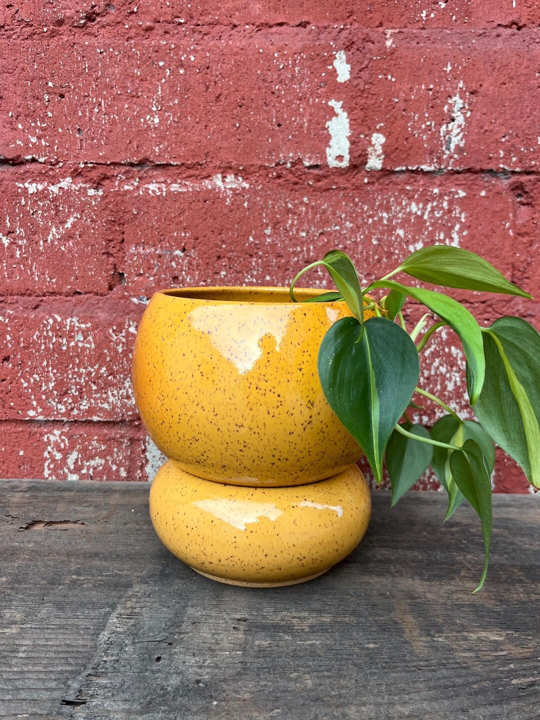 Yellow Pedestal Planter, Bubble Planter With Drainage and Saucer, MCM ...