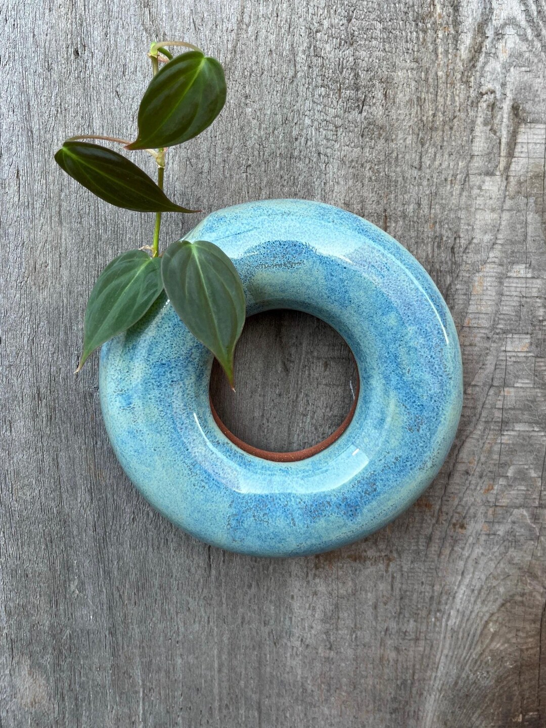 Denim Blue Ring Wall Planter, Hydroponic Planter, Propagation Station ...