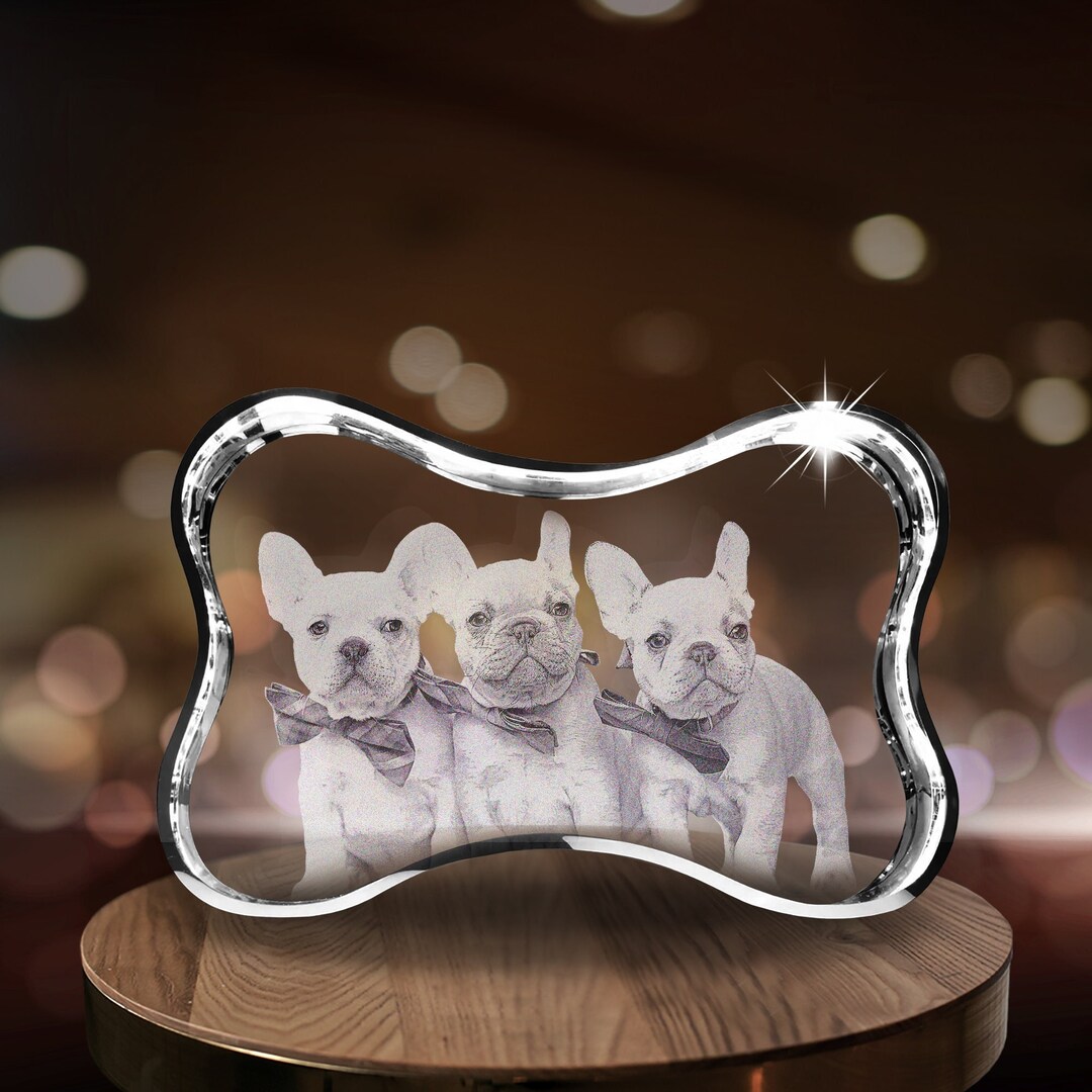Custom Pet Gift Dog Memorial Gift, Cute Gifts, Pet Lover Gift, 3D Laser ...