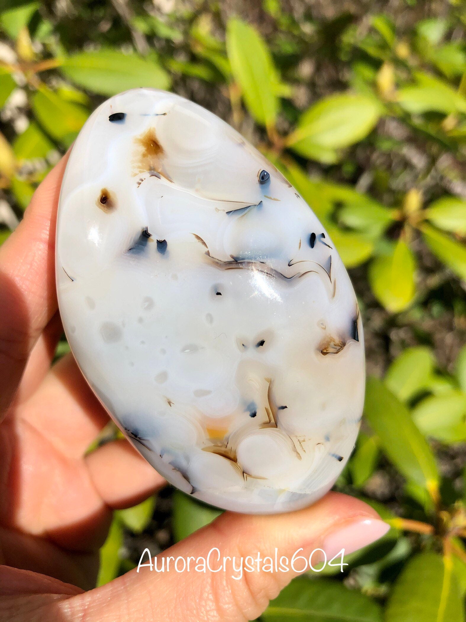 3.17 Large Dendritic Agate Palm Stone Natural - Etsy