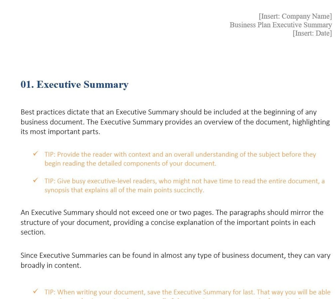 Executive Summary Template Etsy 1712
