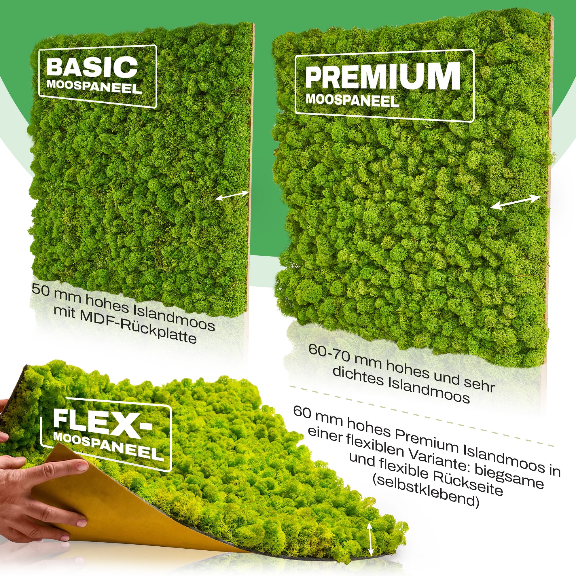 Moss Panels BASIC - Preserved Iceland Moss / Reindeer Moss - Wall ...