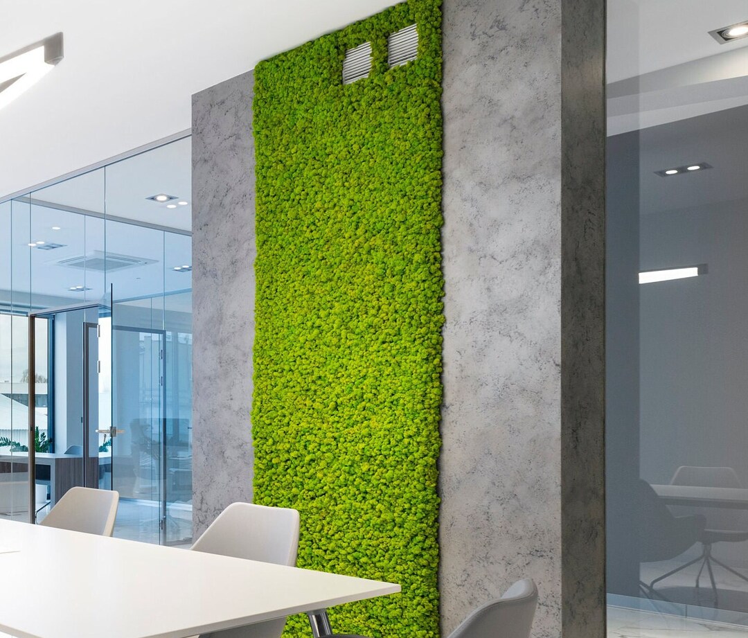 Moss Panels PREMIUM Preserved Iceland Moss / Reindeer Moss - Etsy