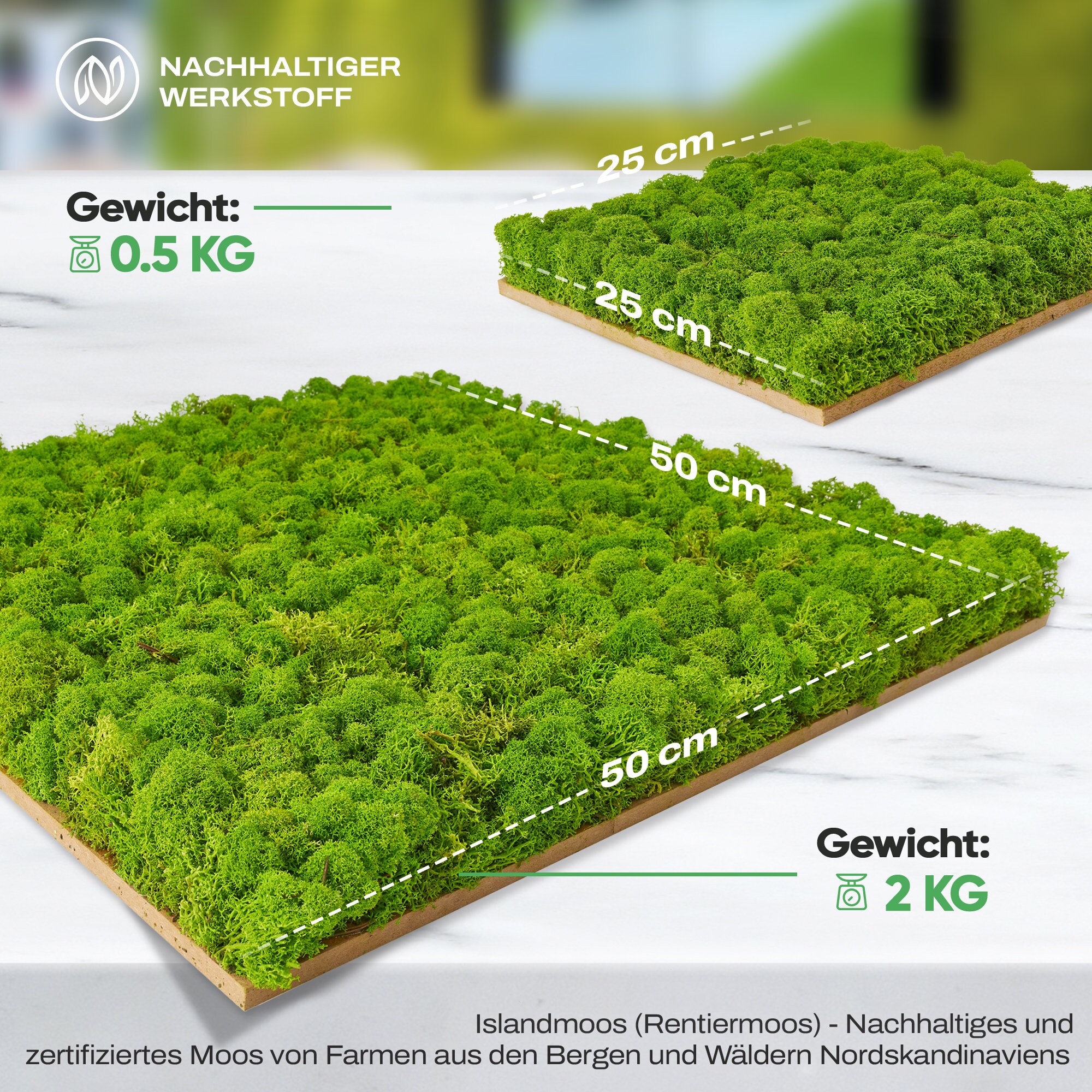 Moss Panels BASIC - Preserved Iceland Moss / Reindeer Moss - Wall ...