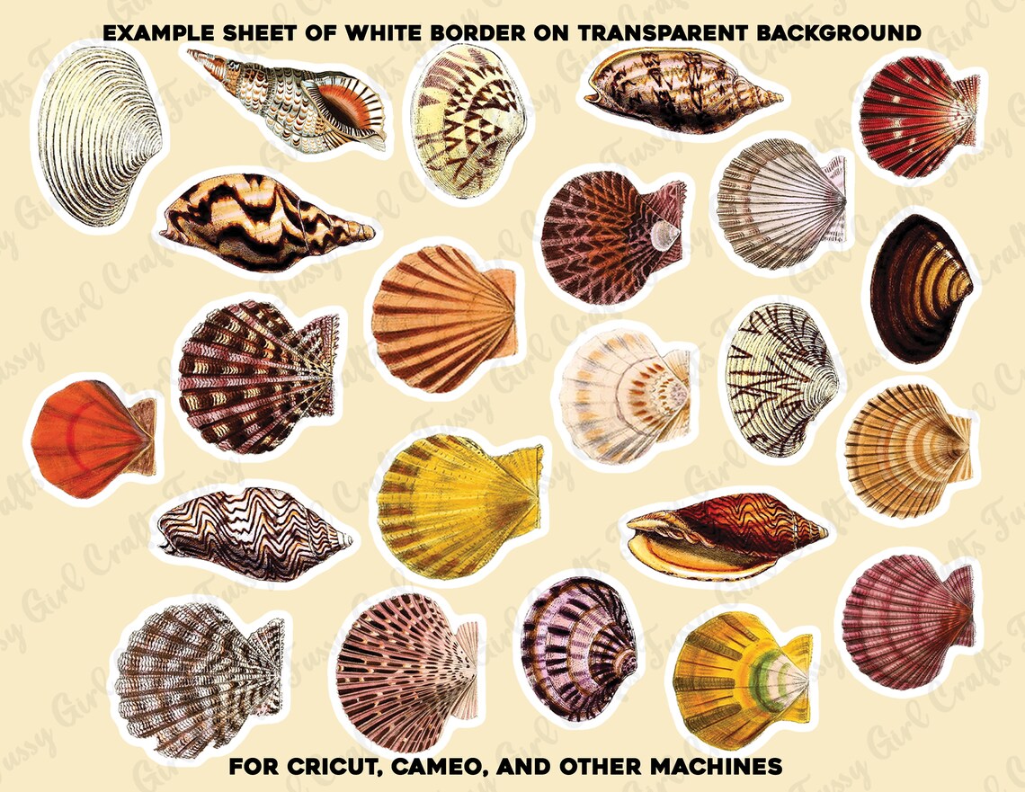 Seashells Printable Sticker Sheet / Fussy Cut Collage Sheet | Etsy