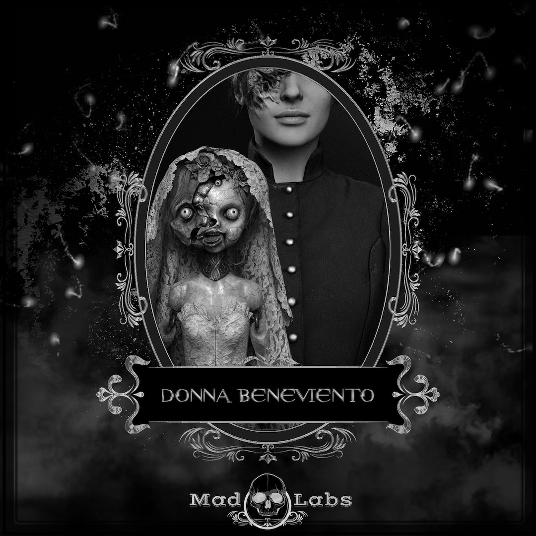 DONNA BENEVIENTO Blue Spruce Poppy White Tea Cadou - Etsy