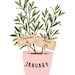 Plant Classroom Birthday Display | French Decor (PNG, PDF, Powerpoint ...