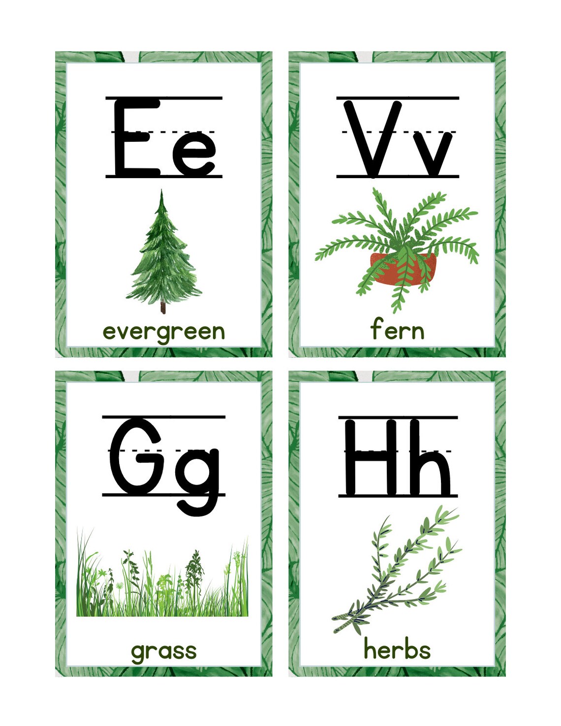 Plants Classroom Alphabet Posters Flashcards Poster PNG PDF Natural ...