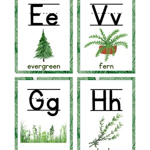 Plants Classroom Alphabet Posters + Flashcards + Poster| PNG + PDF ...