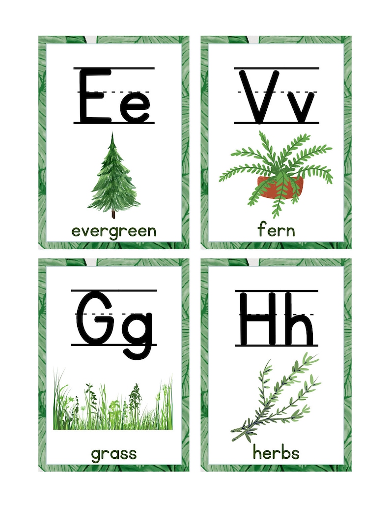 Plants Classroom Alphabet Posters + Flashcards + Poster| PNG + PDF ...