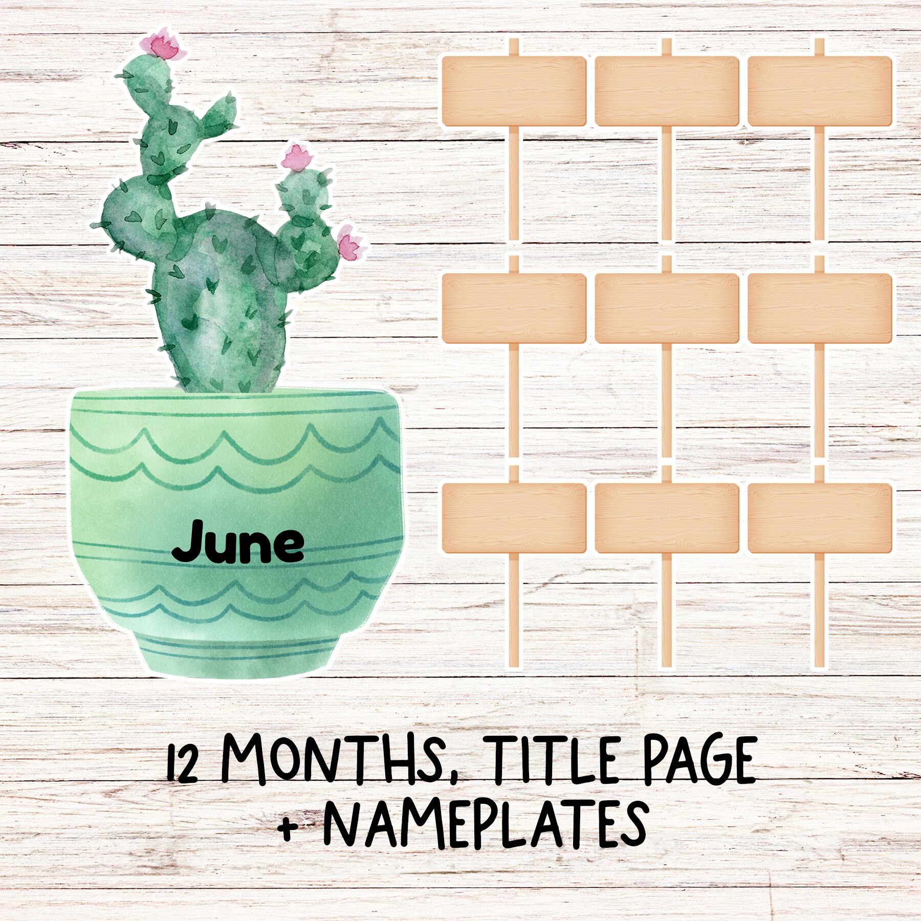 Cactus Classroom Birthday Wall | PNG + PDF | Natural Colors Classroom ...