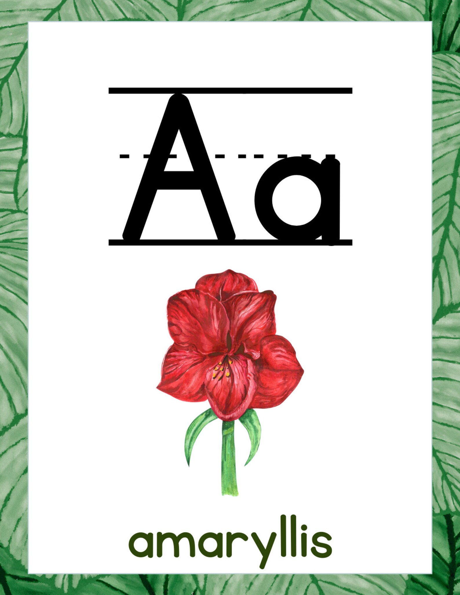 Plants Classroom Alphabet Posters + Flashcards + Poster| PNG + PDF ...