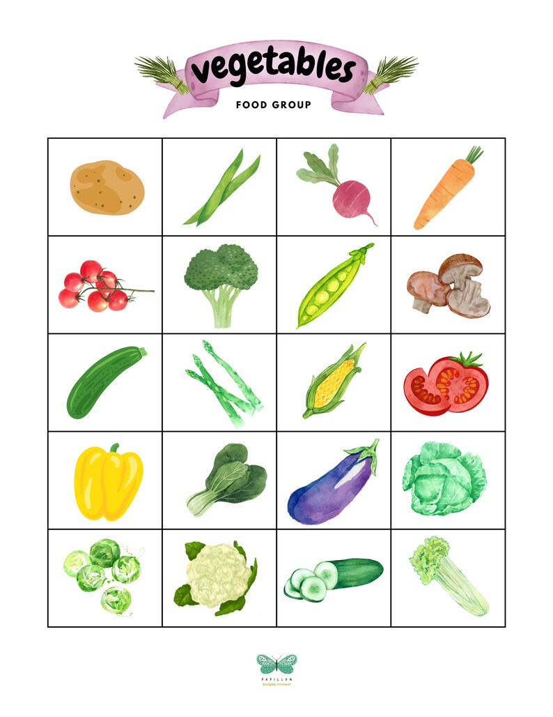 Food Group Flash Cards | Montessori Homeschool Printable (PDF) - Etsy