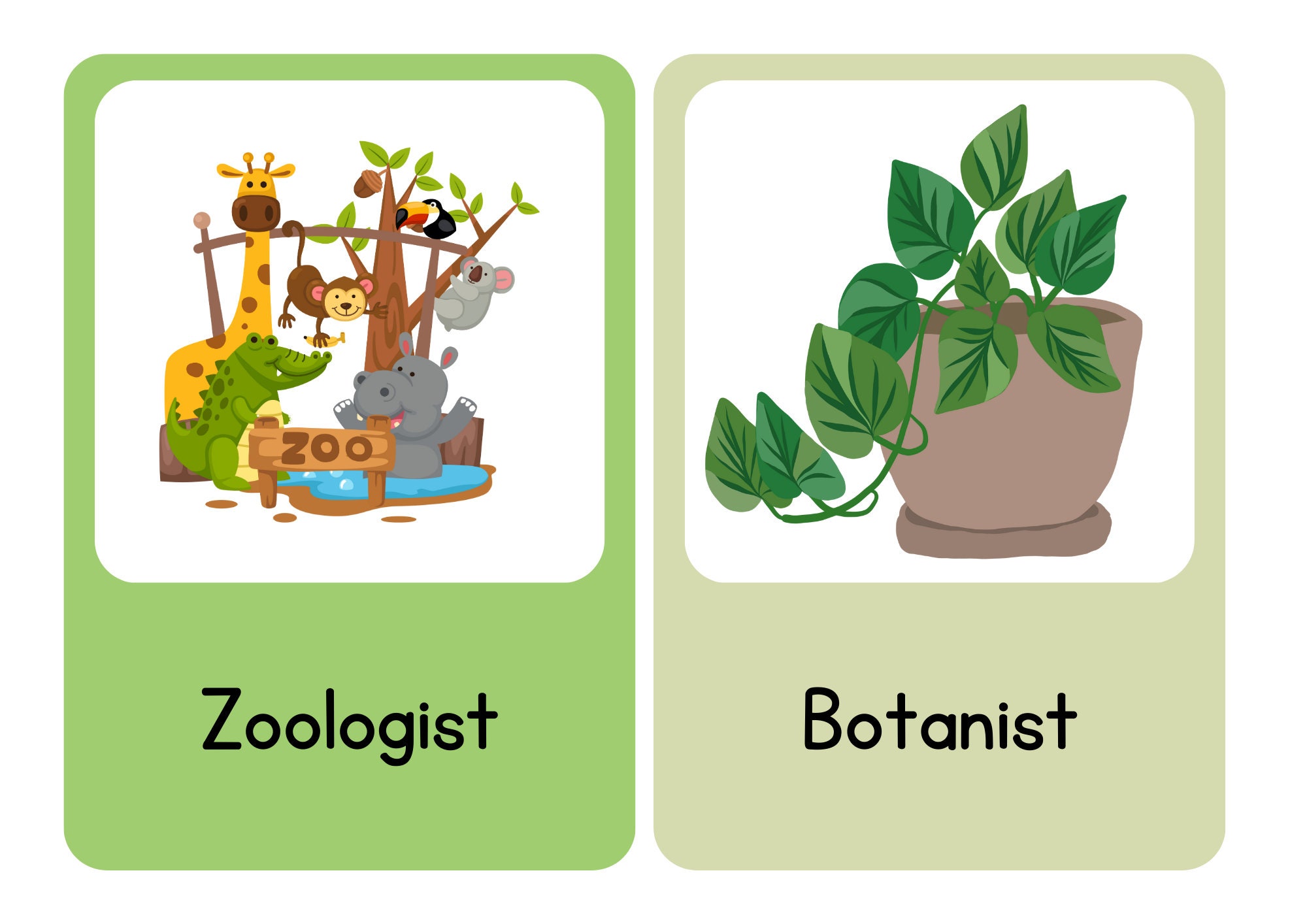 Plants Classroom Jobs Bundle | PNG + PDF + Powerpoint | Editable ...