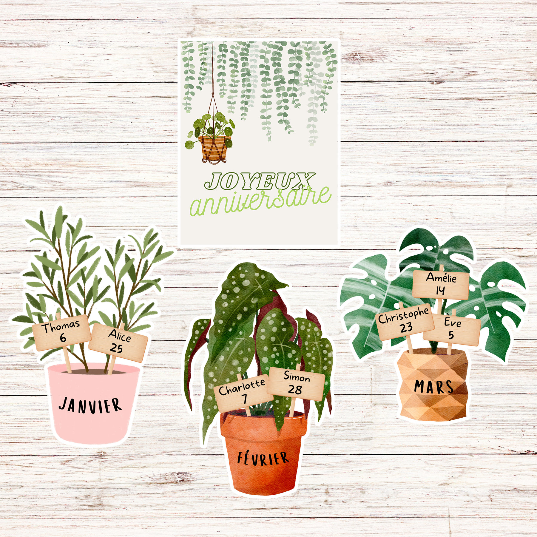 Plant Classroom Birthday Display | French Decor (PNG, PDF, Powerpoint ...