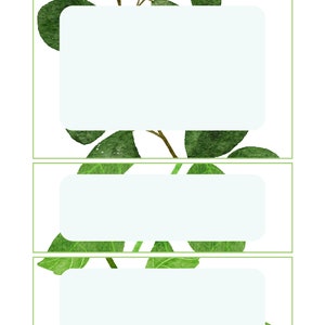 Plants Classroom Labels Bundle | Boho Decor, Editable (PNG + PDF) - Etsy