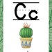 Plants Classroom Alphabet Posters Flashcards Poster PNG PDF Natural ...