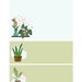 Plants Classroom Labels Bundle | Boho Decor, Editable (PNG + PDF) - Etsy
