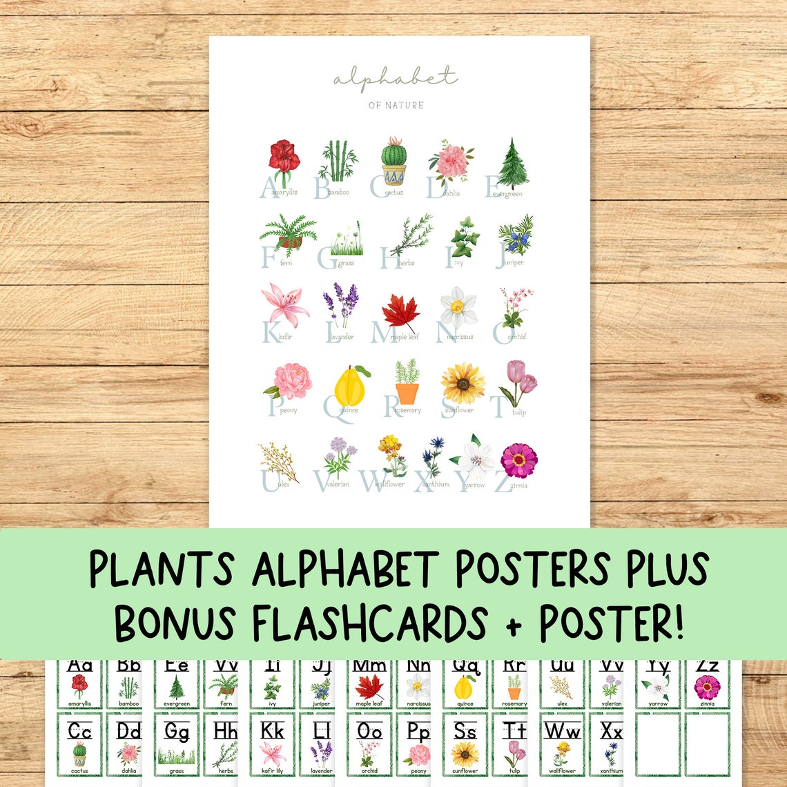 Plants Classroom Alphabet Posters | Boho Decor (PNG + PDF) - Etsy