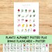Plants Classroom Alphabet Posters + Flashcards + Poster| PNG + PDF ...