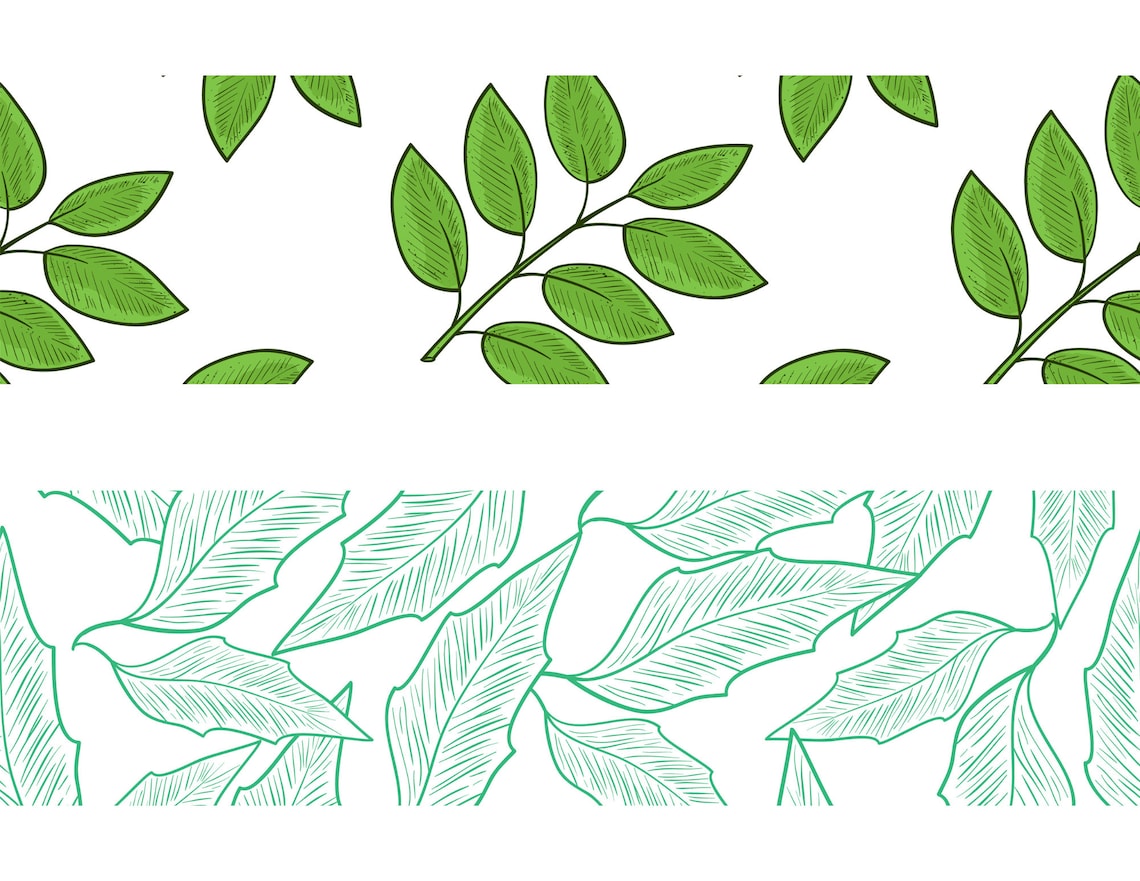 Plants Classroom Bulletin Board Border | PNG | Natural Colors Classroom ...