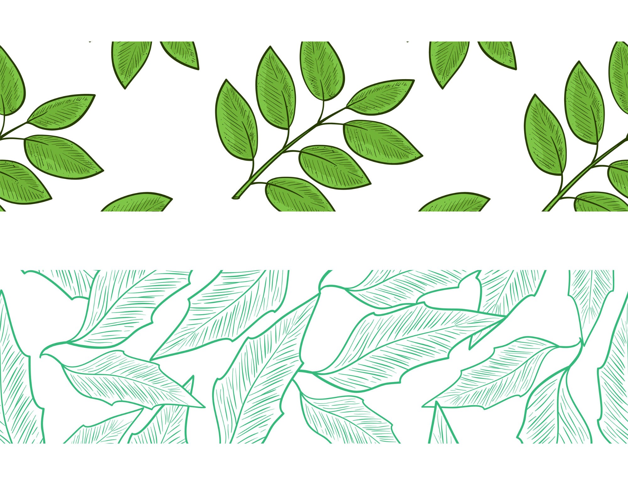 Plants Classroom Bulletin Board Border | PNG | Natural Colors Classroom ...