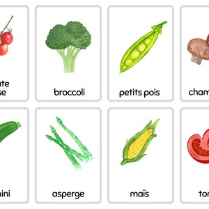 French Food Flash Cards | Printable Nutrition Learning (digital ...
