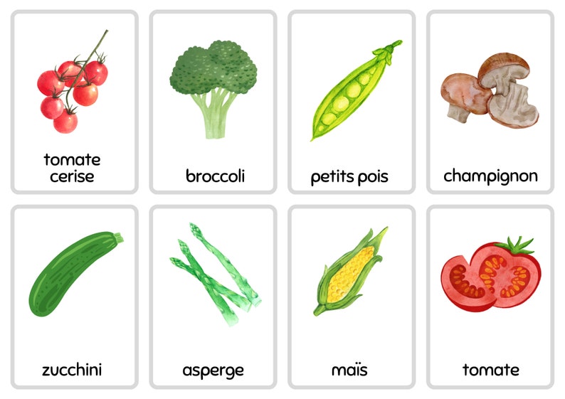 French Food Flash Cards | Printable Nutrition Learning (digital ...
