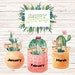 Cactus Classroom Birthday Wall | Boho Decor (PNG + PDF) - Etsy