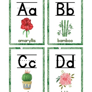 Plants Classroom Alphabet Posters + Flashcards + Poster| PNG + PDF ...