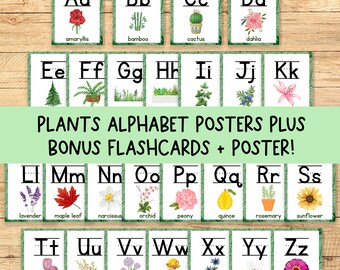 ASL Alphabet Posters American Sign Language Display - Etsy