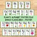 Plants Classroom Alphabet Posters Flashcards Poster PNG PDF Natural ...