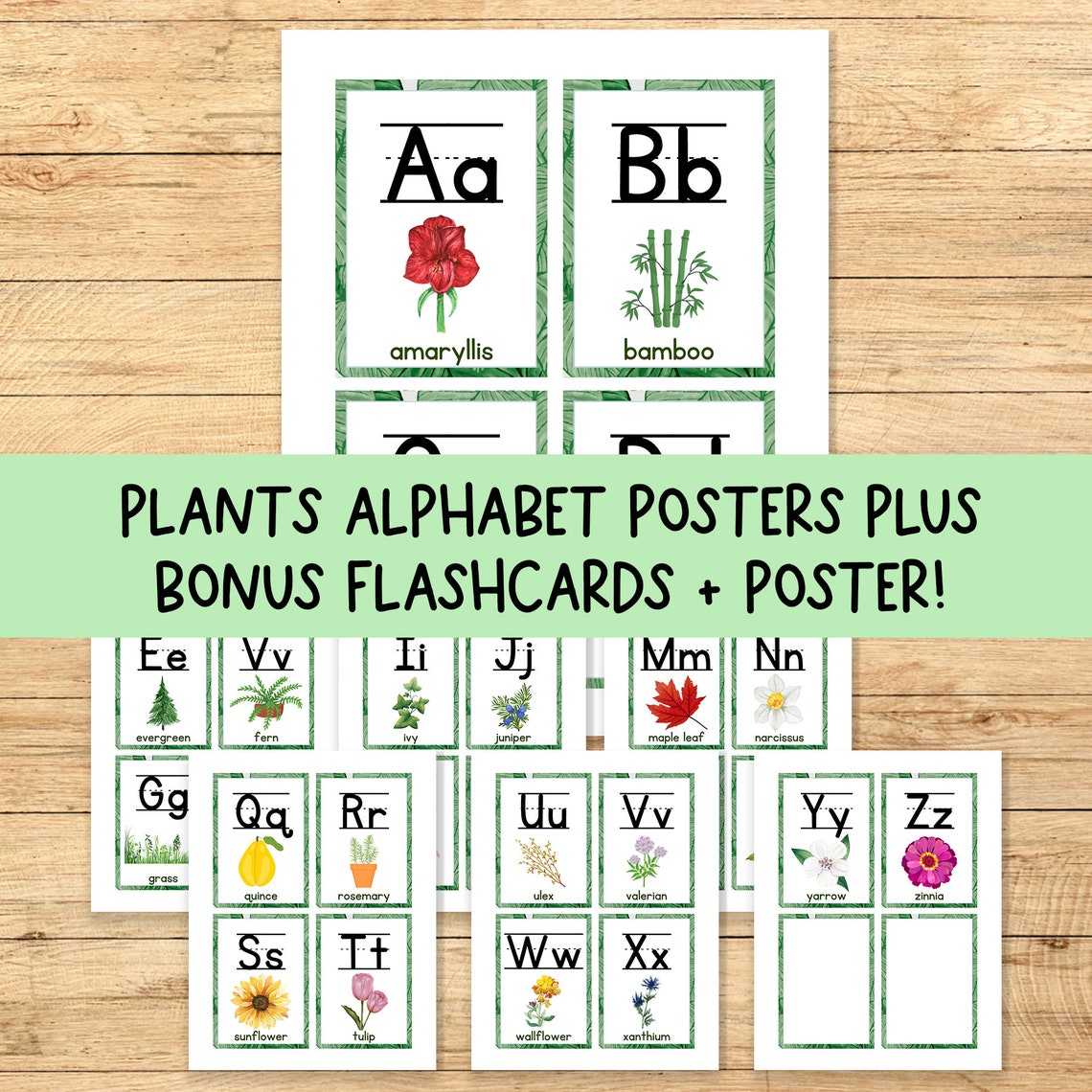 Plants Classroom Alphabet Posters Flashcards Poster PNG PDF Natural ...