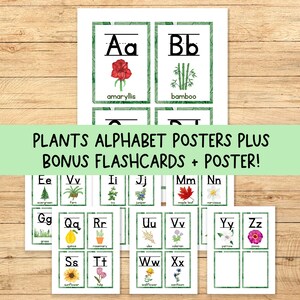 Plants Classroom Alphabet Posters + Flashcards + Poster| PNG + PDF ...