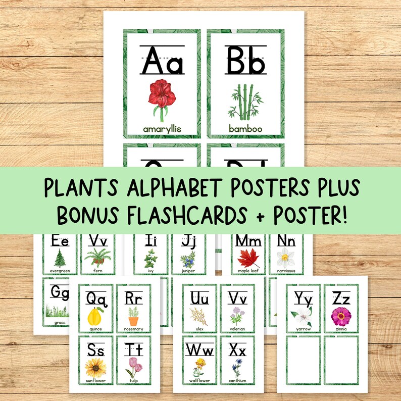 Plants Classroom Alphabet Posters + Flashcards + Poster| PNG + PDF ...
