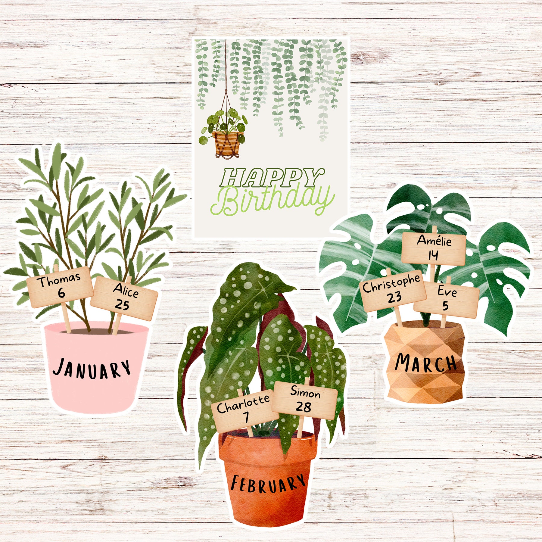 Plants Classroom Birthday Wall | PNG + PDF + Powerpoint | Editable ...