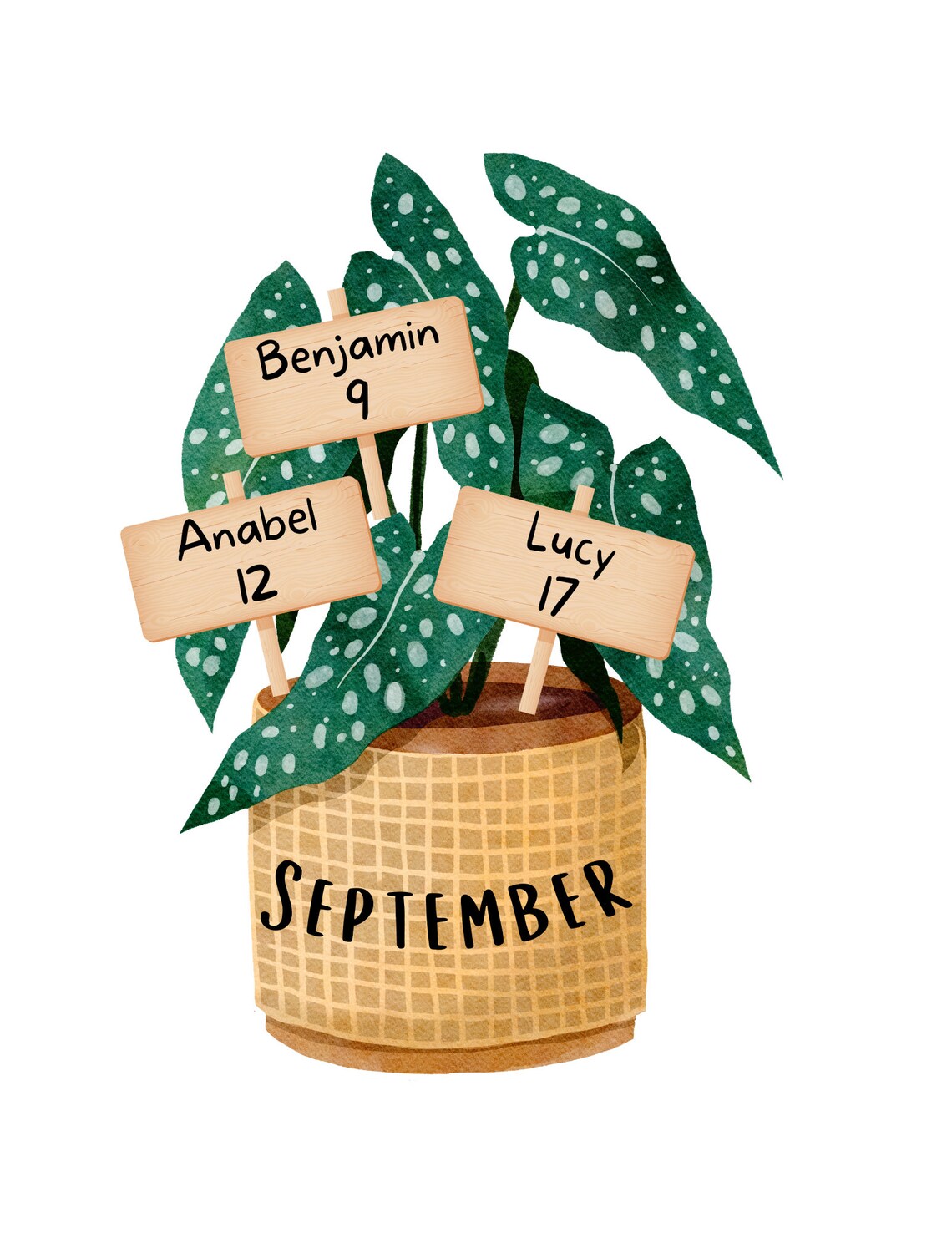 Plants Classroom Birthday Wall | PNG + PDF + Powerpoint | Editable ...